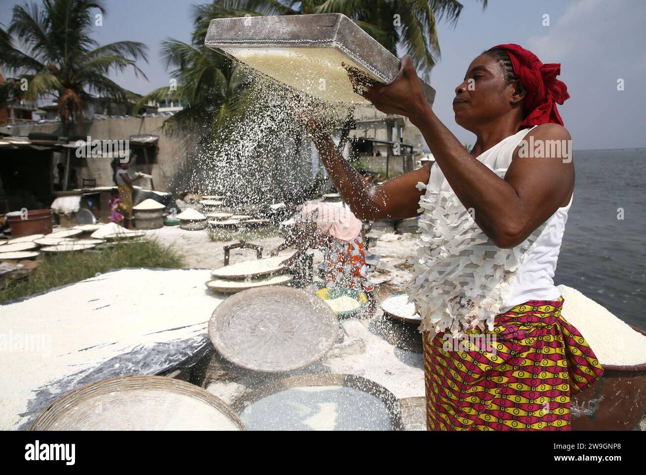 Abidjan, Cote d'Ivoire. 27th Dec, 2023. A woman sifts cassava root ...