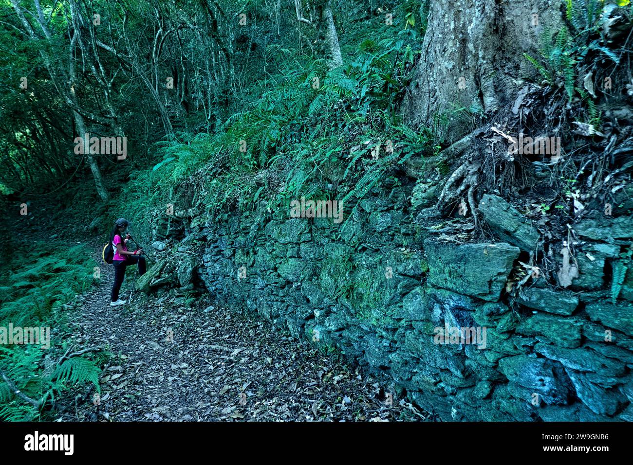 Old Japanese village ruins on the Lushui Wenshan Trail, Taroko National ...