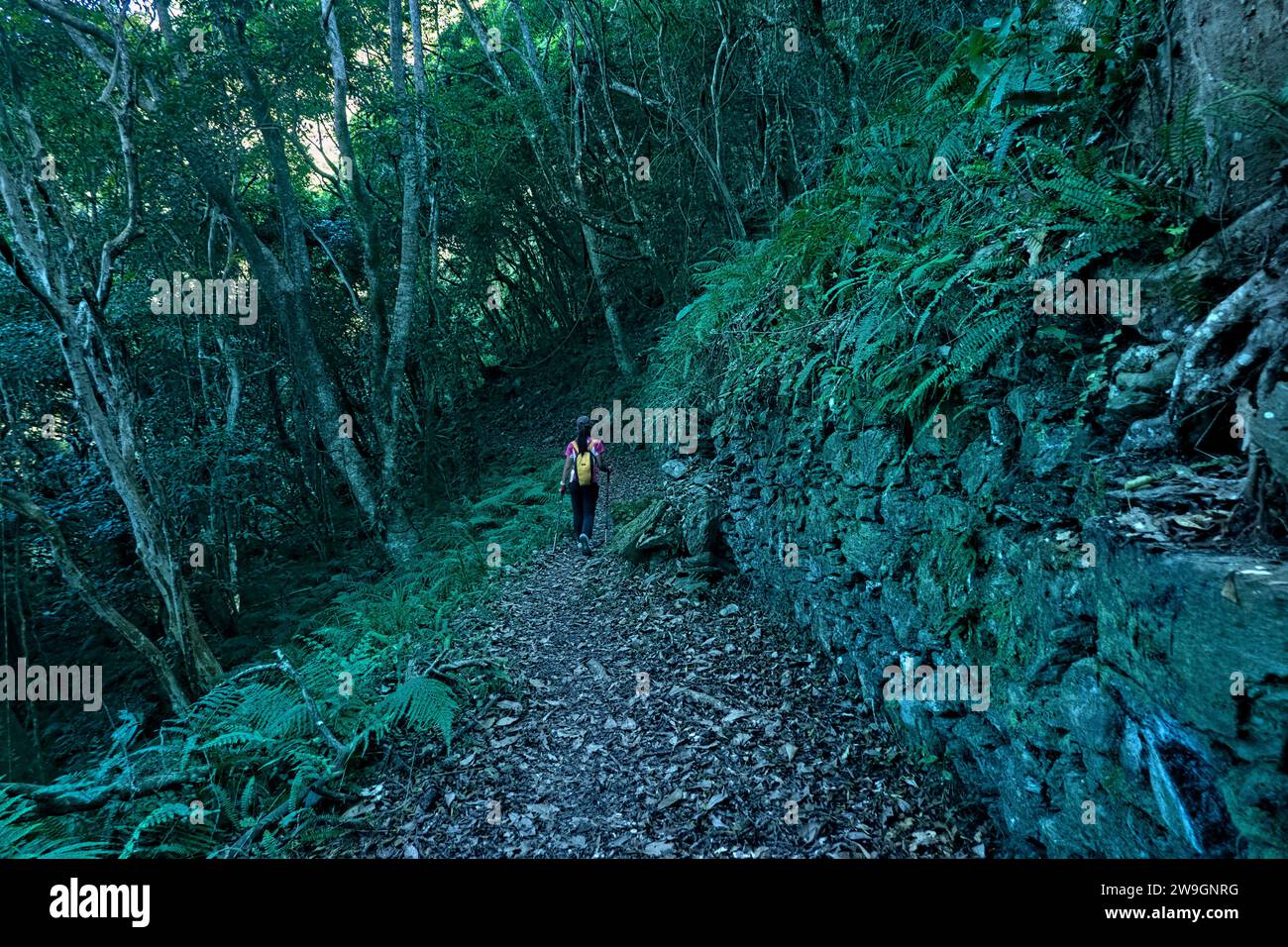 Old Japanese village ruins on the Lushui Wenshan Trail, Taroko National ...