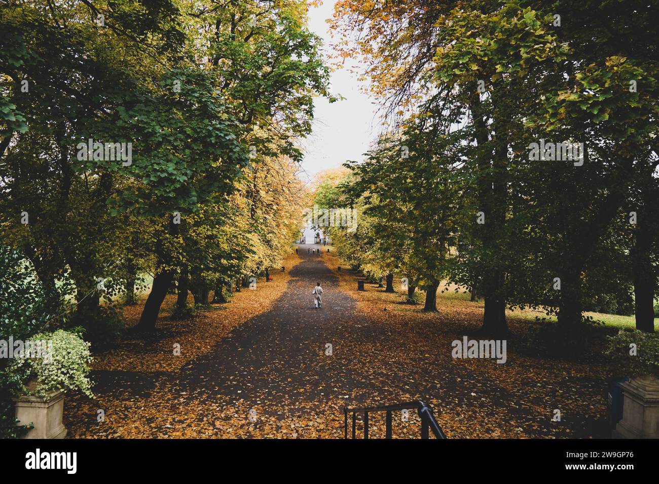 Autumn Walk in Park Stock Photo - Alamy