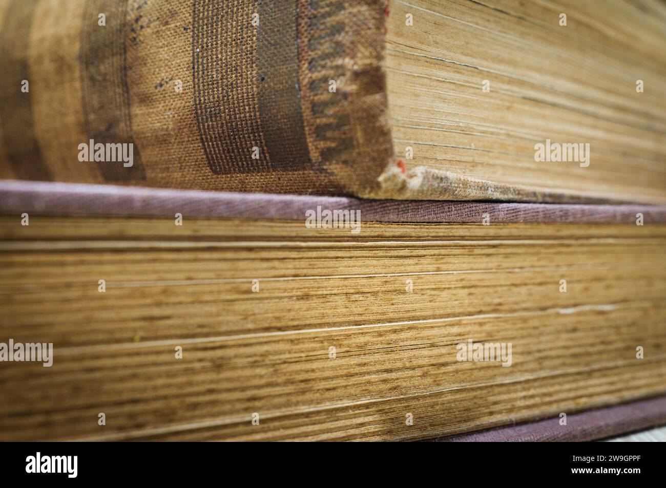 Macrophotographic view of the pages and spine of old books, with ...