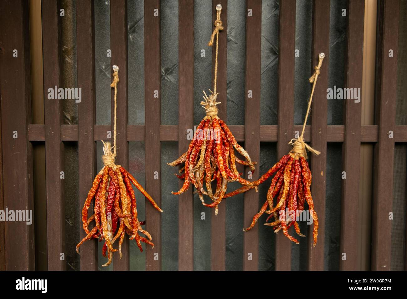 Dried chillies hanging in the sun on a street in Magome in Japan Stock ...