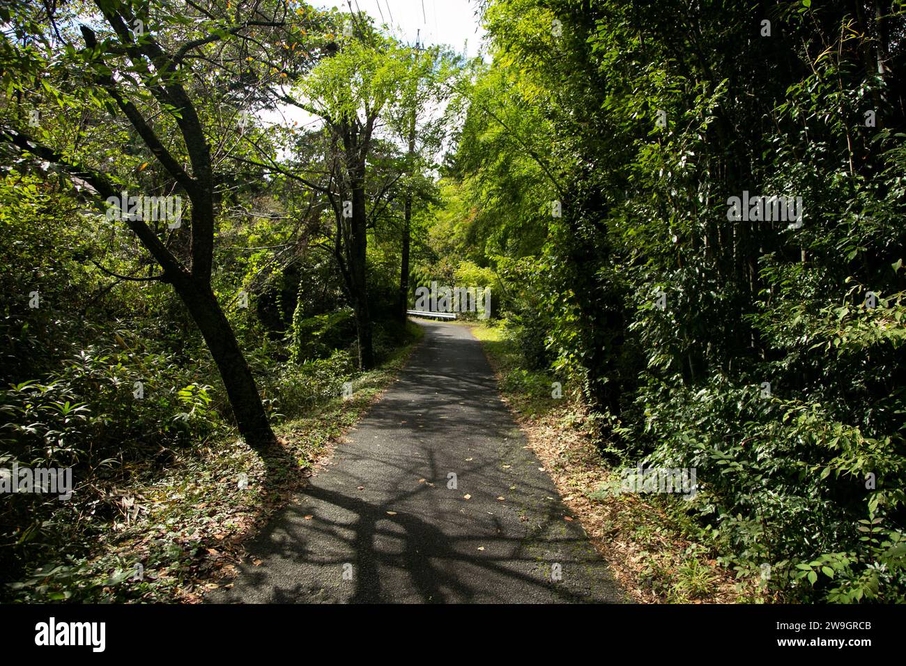 Walking the road following the Nakasendo trail between Nagiso and ...