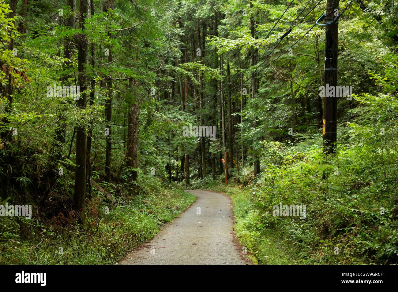 Walking the road following the Nakasendo trail between Nagiso and ...