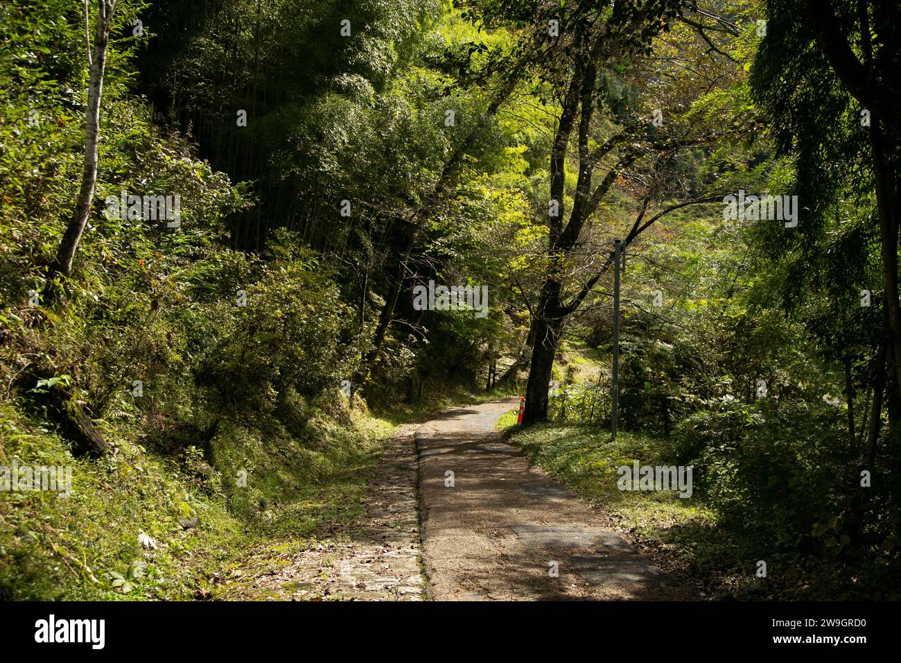 Walking the road following the Nakasendo trail between Nagiso and ...