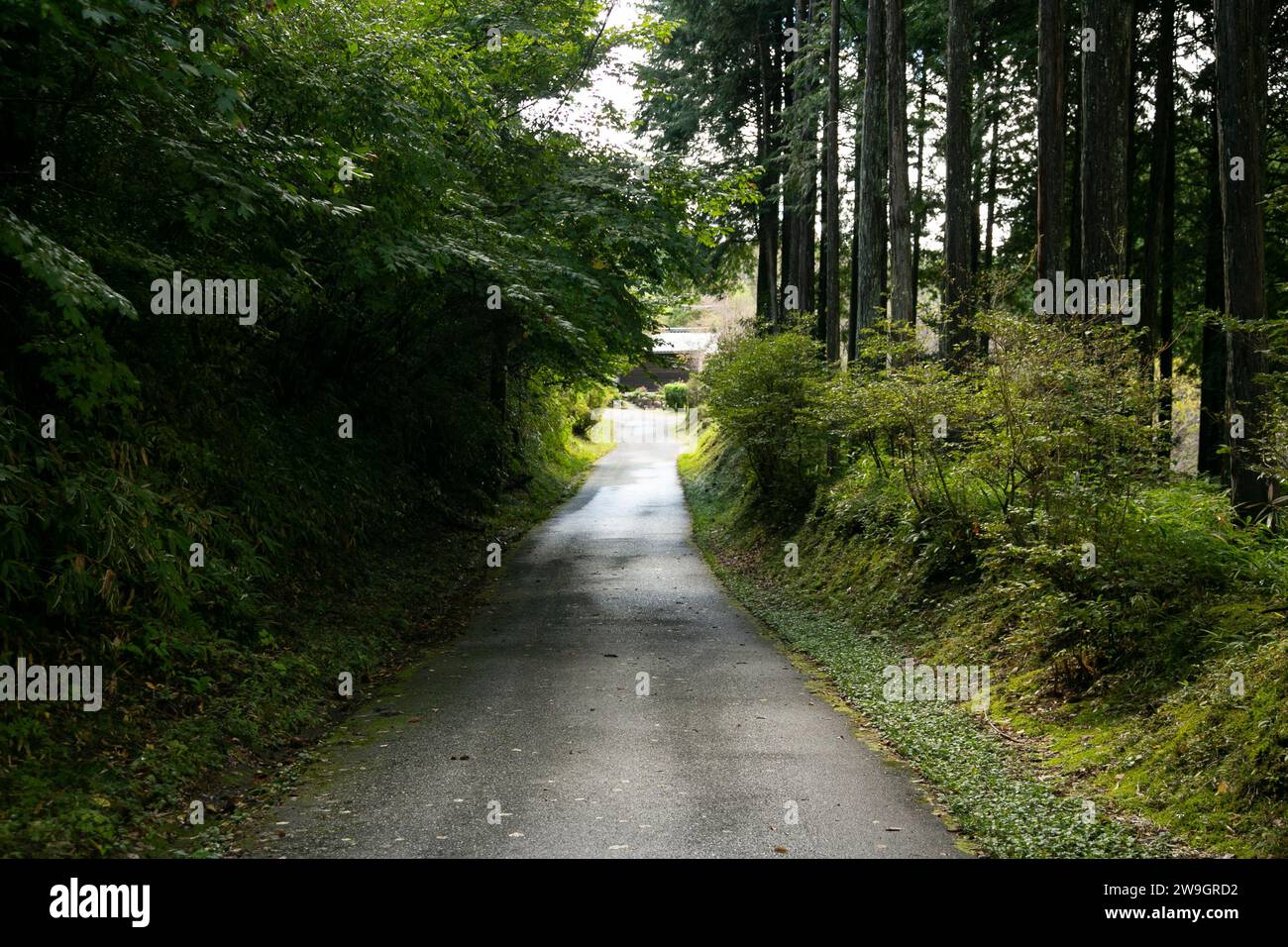 Walking the road following the Nakasendo trail between Nagiso and ...