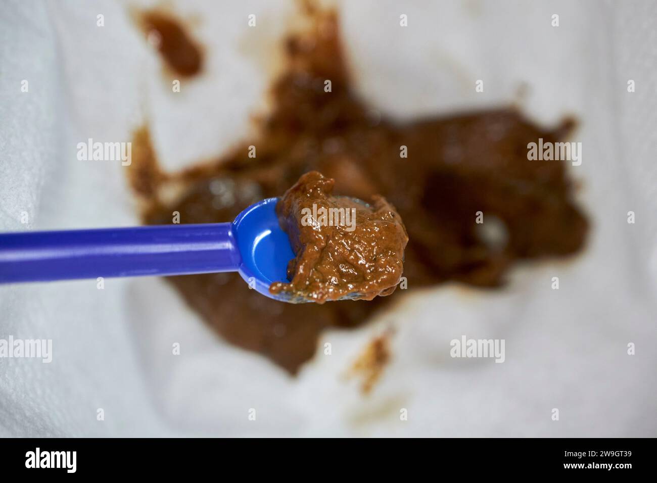 using a stool fecal sample test tube sampling kit Stock Photo - Alamy