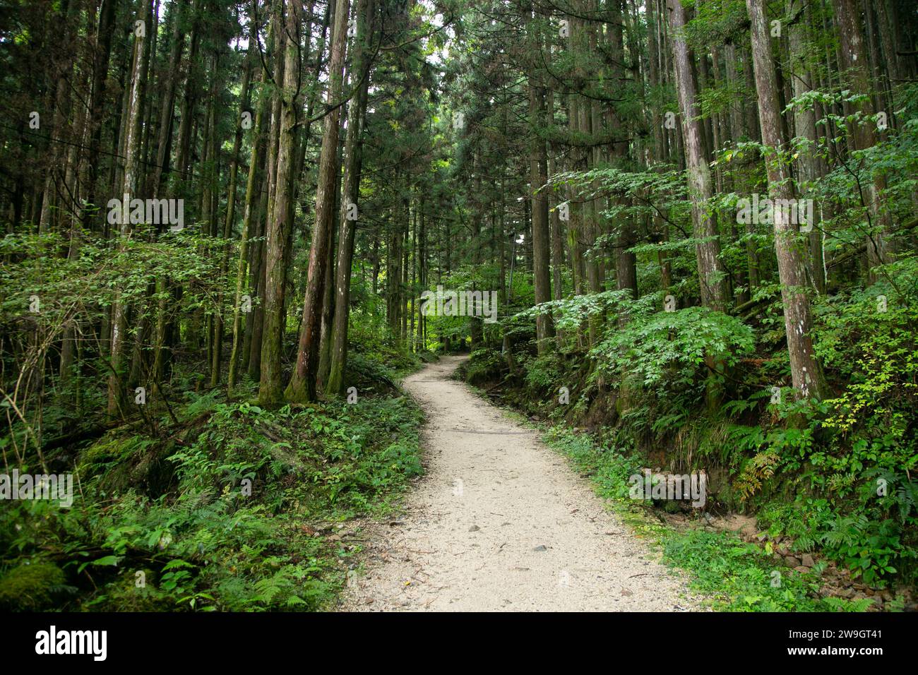 Walking the hiking road following the Nakasendo trail between Tsumago ...