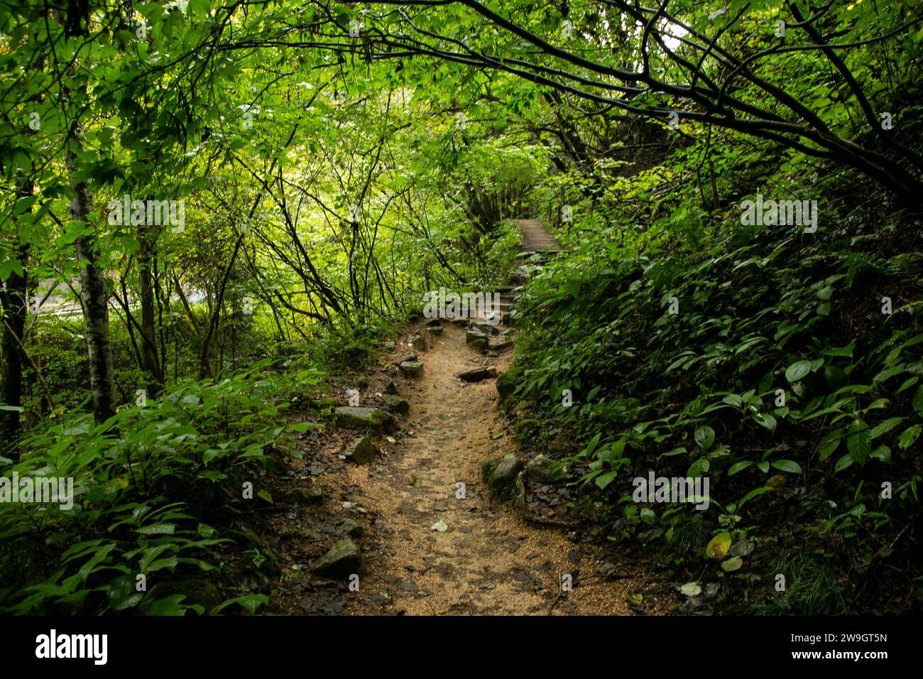 Walking the hiking road following the Nakasendo trail between Tsumago ...