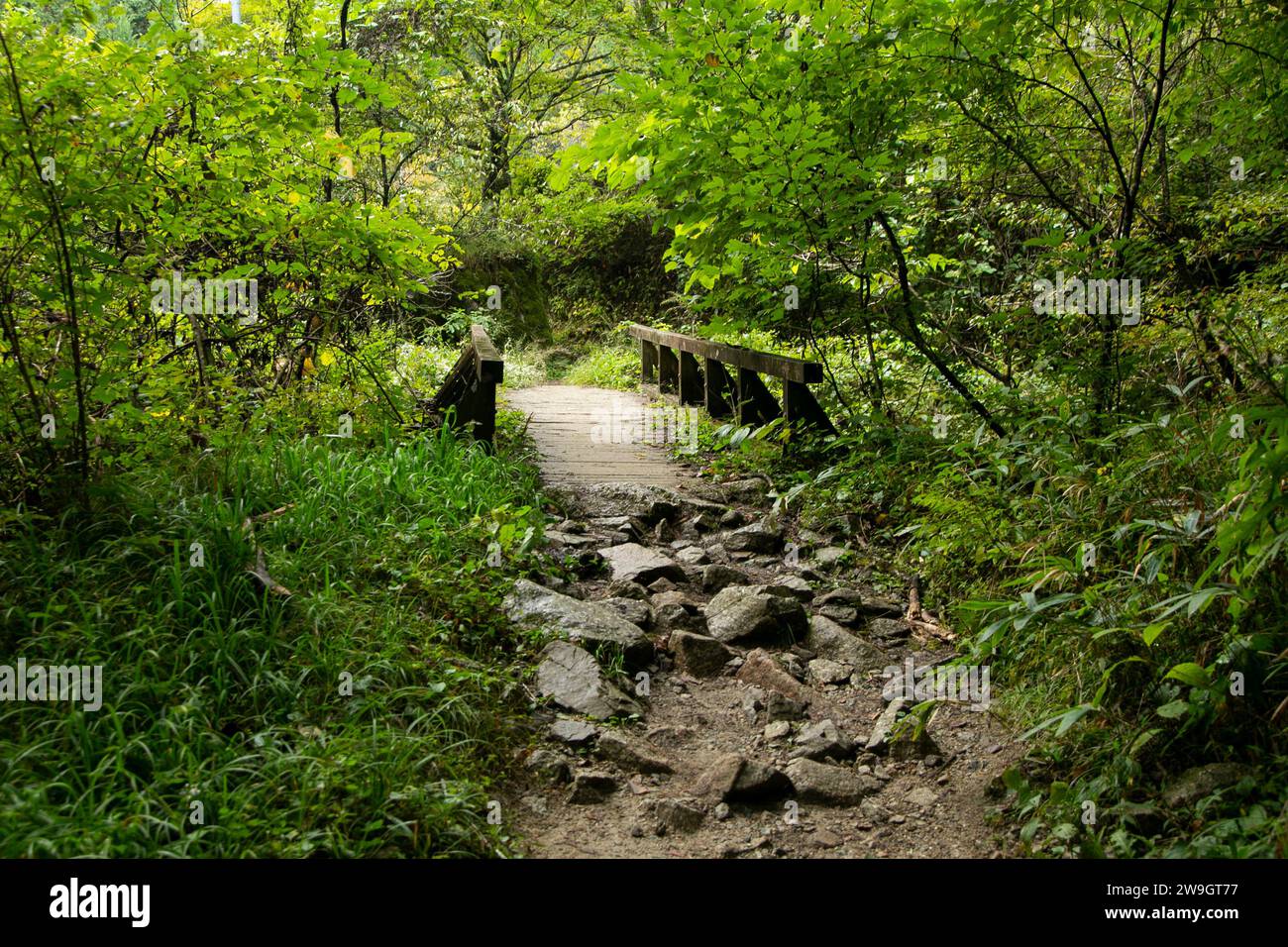 Walking the hiking road following the Nakasendo trail between Tsumago ...