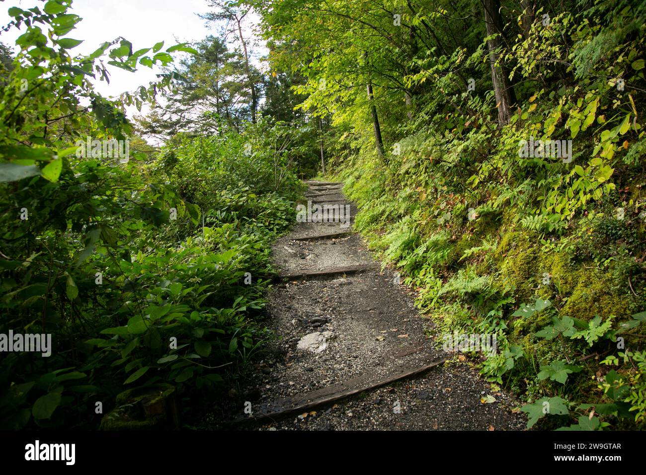 Walking the hiking road following the Nakasendo trail between Tsumago ...