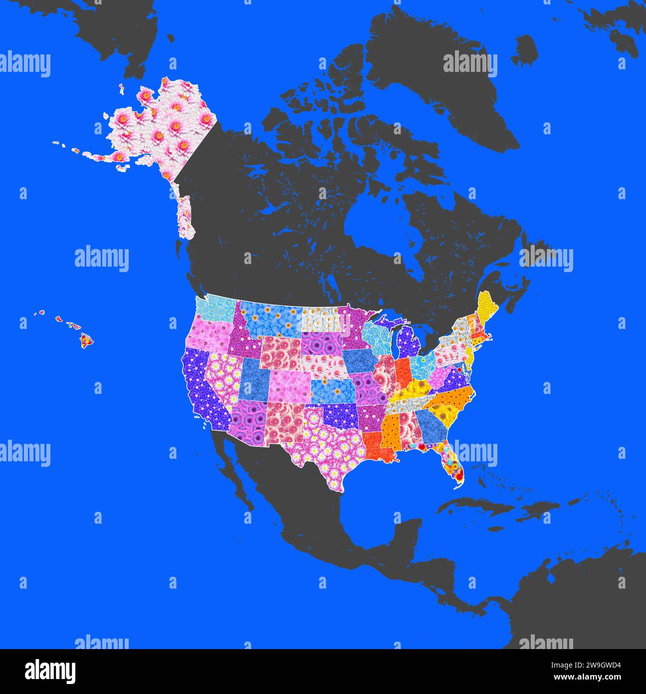 Map, outline of North America with the USA highlighted in colour by ...