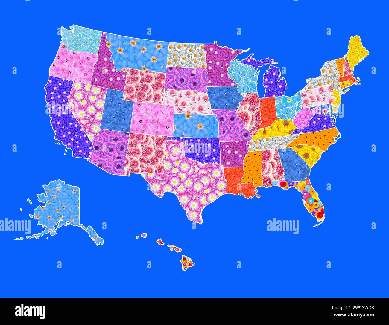 Map north america usa highlighted hi-res stock photography and images ...