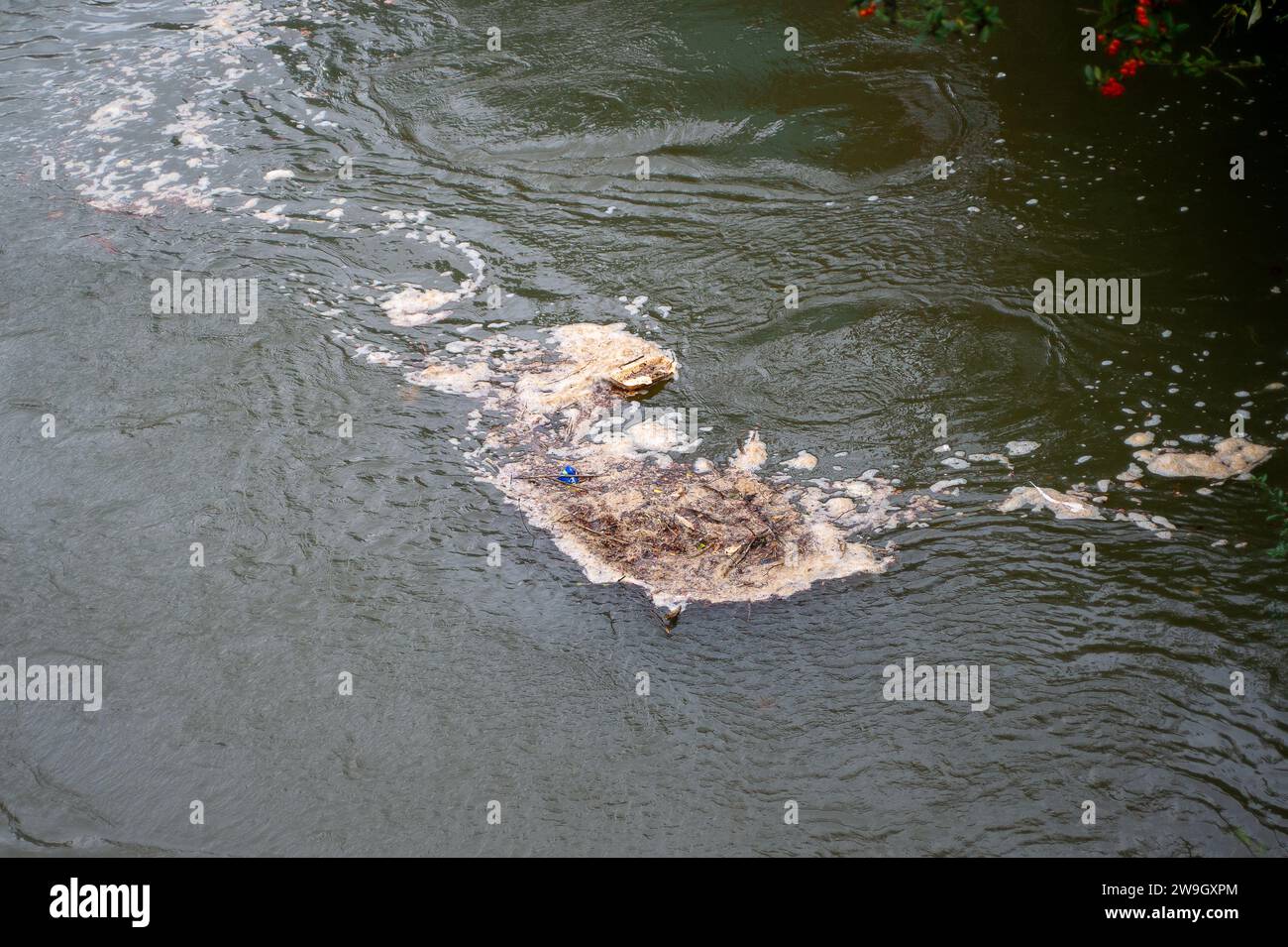 Windsor, Berkshire, UK. 28th December, 2023. Pollution on the River ...