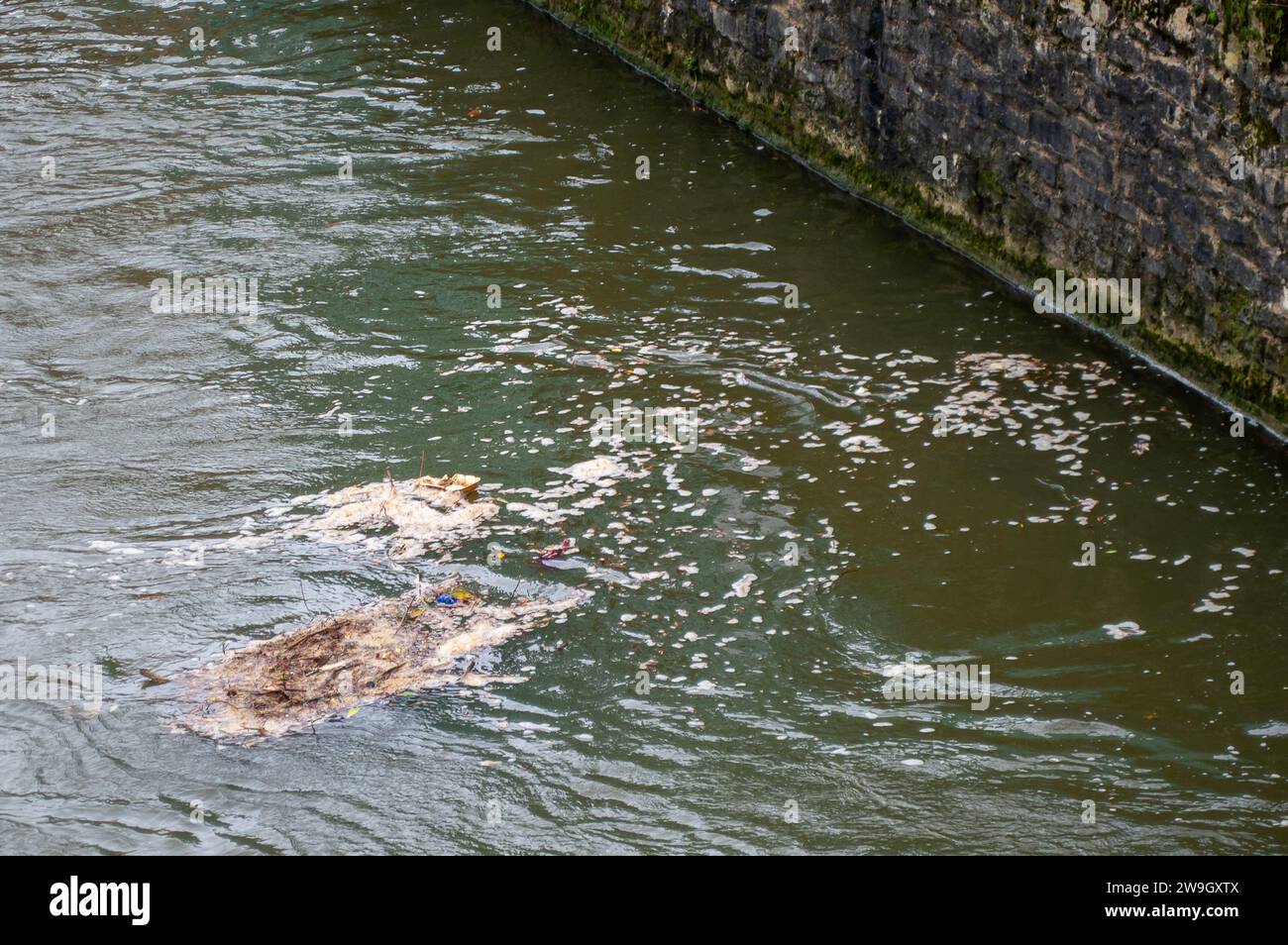 Windsor, Berkshire, UK. 28th December, 2023. Pollution on the River ...