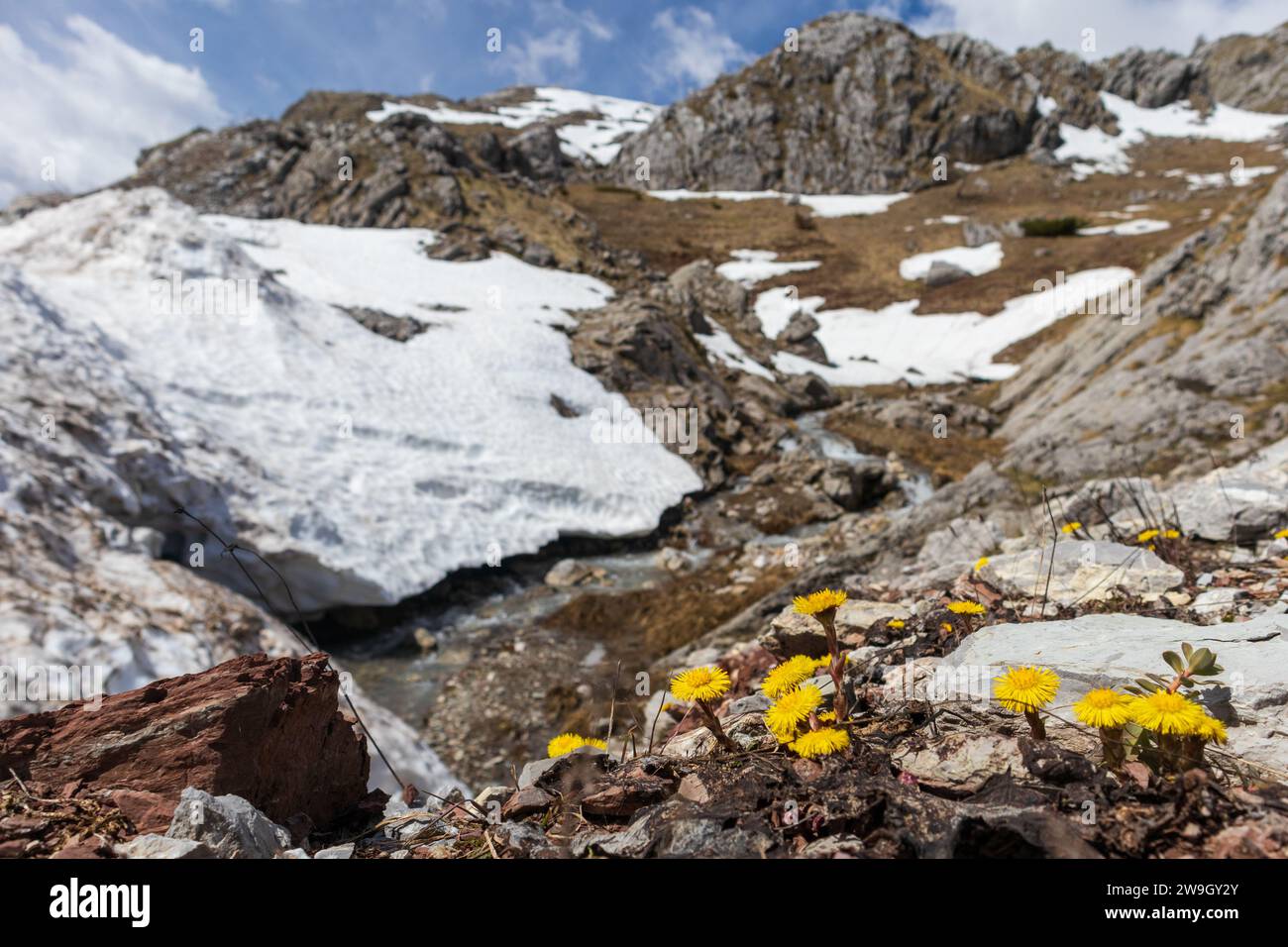 The beauty of untouched wilderness showcased in a panoramic mountain spectacle Stock Photo - Alamy