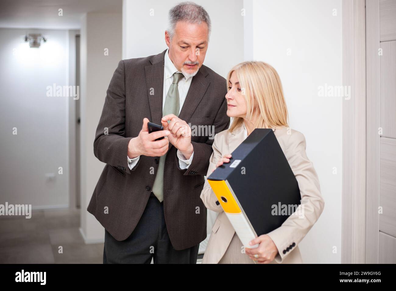Manager explaining things to his colleague Stock Photo - Alamy
