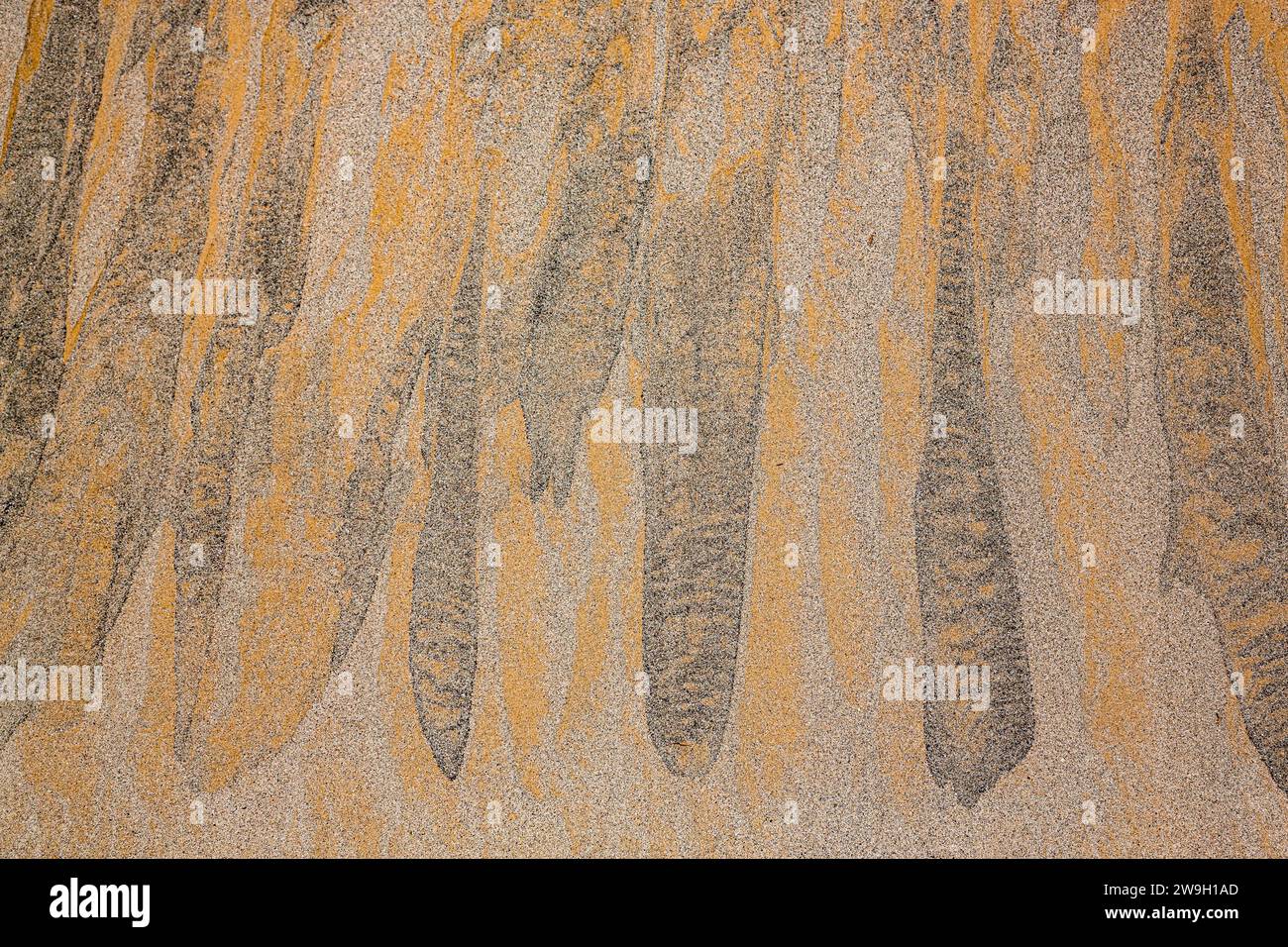 The vibrant sand patterns in Taklamakan Desert, China Stock Photo - Alamy