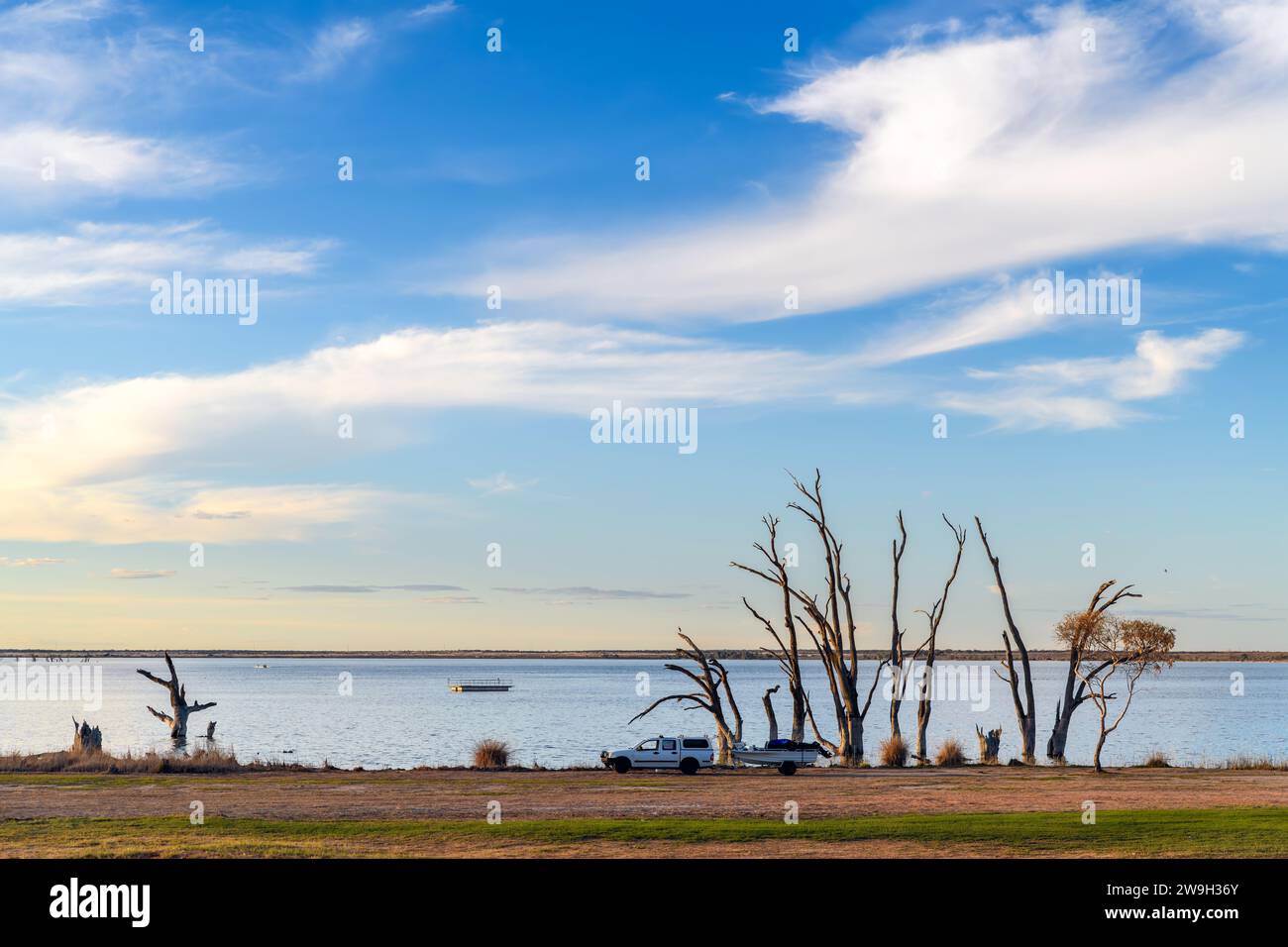 Lake Bonney with dead tree stumps in water at sunset time, Barmera ...