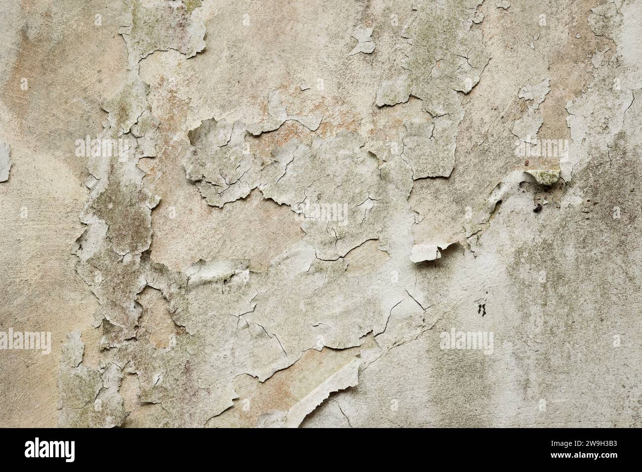 Texture old flaky white painted wall peeling weathered Stock Photo - Alamy