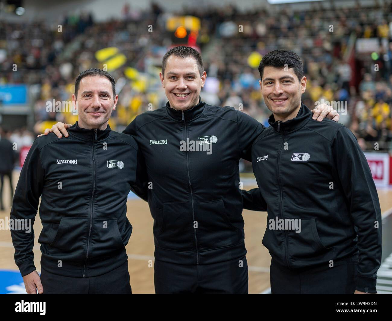 Oldenburg ewe team hi-res stock photography and images - Alamy