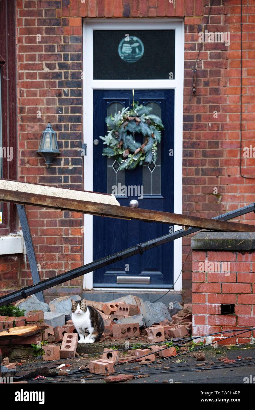 Jessie the cat sits outside the damaged house where she lives in the ...