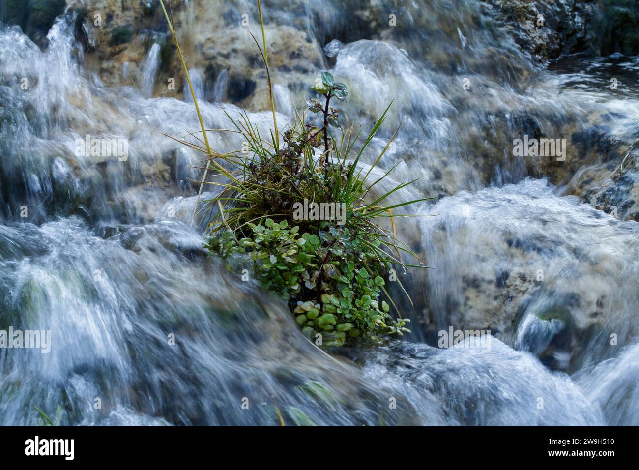 Cascade Springs on Mt. Timpanogos in the Uinta National Forest in Utah ...