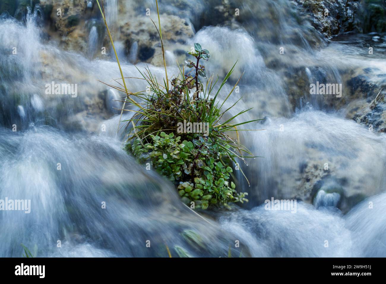 Cascade Springs on Mt. Timpanogos in the Uinta National Forest in Utah ...