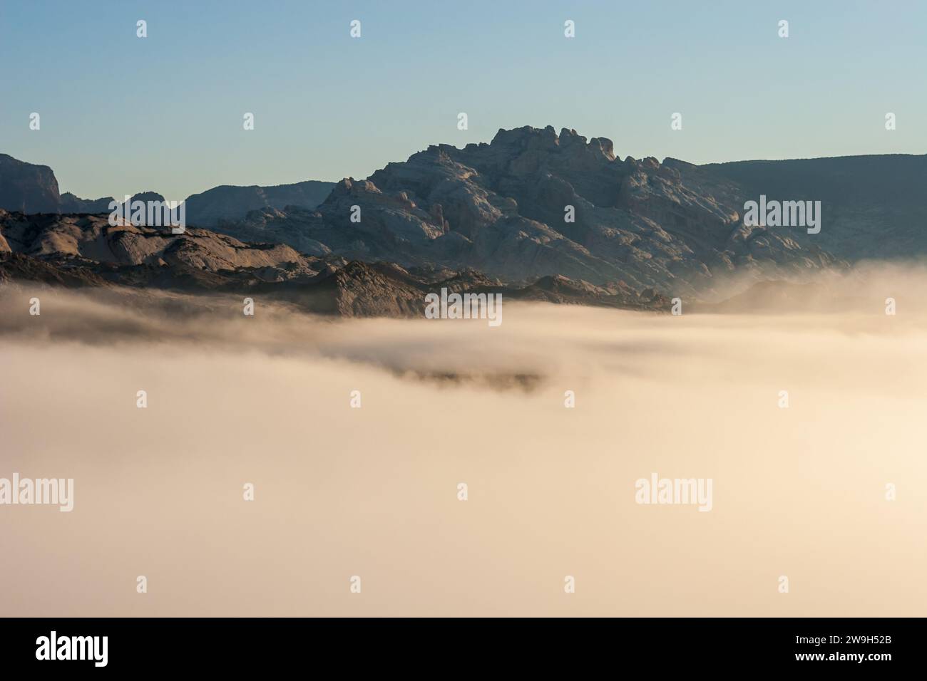 Early morning fog obscures the Green River in Dinosaur National ...
