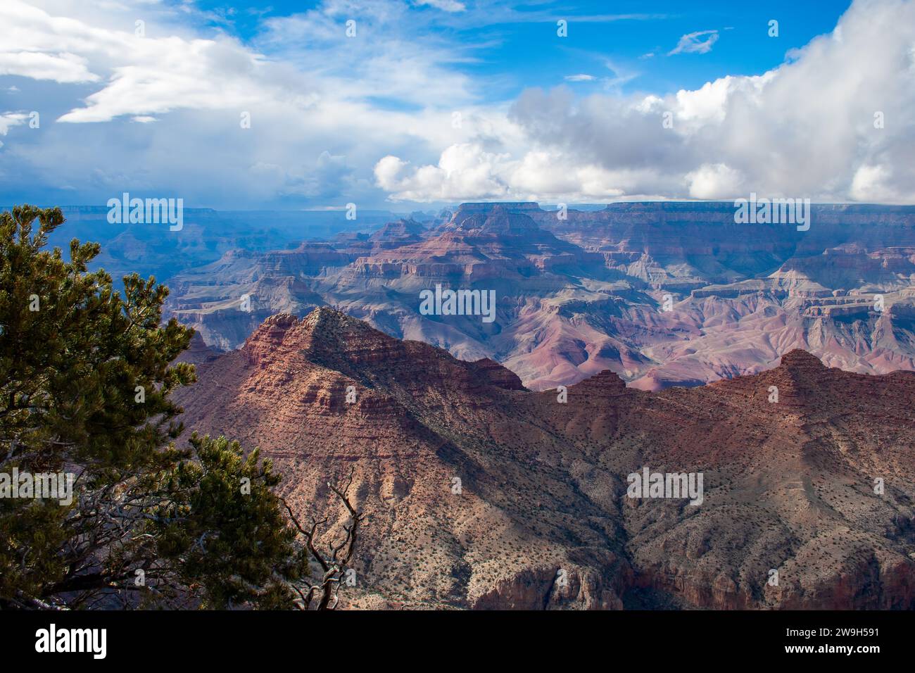 View from the South Rim in Grand Canyon National Park, Arizona Stock ...