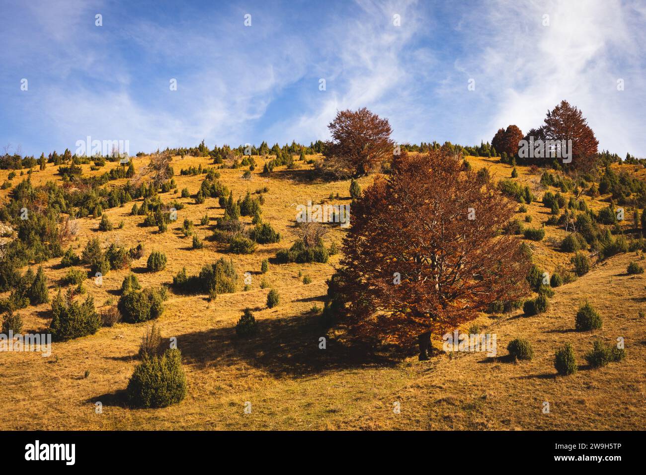 The beauty of untouched wilderness showcased in a panoramic mountain ...