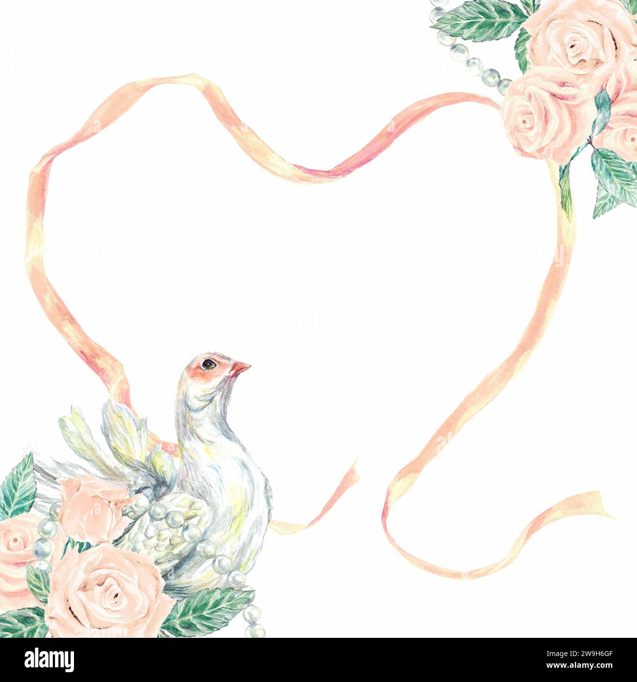 White dove, pink roses, ribbon, watercolor. Illustration isolated on ...