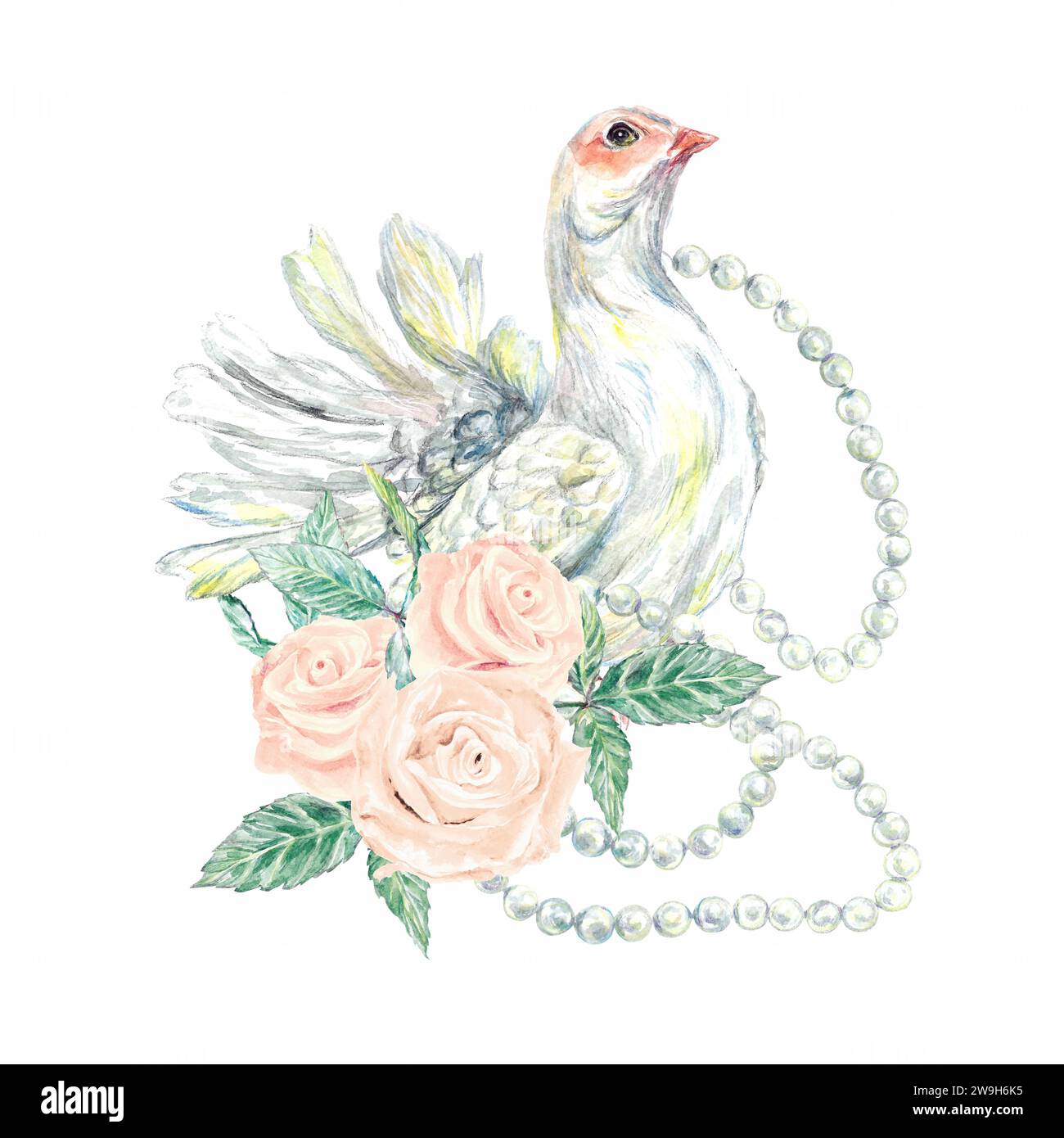 White dove pink roses watercolor. Peace symbol bird illustration ...