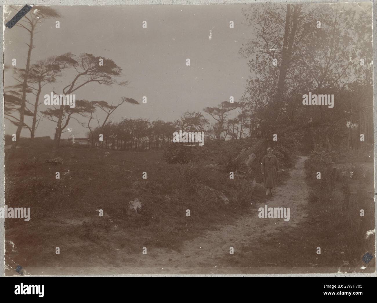 Face in the Meijendel near Wassenaar and The Hague, 1923 photograph ...