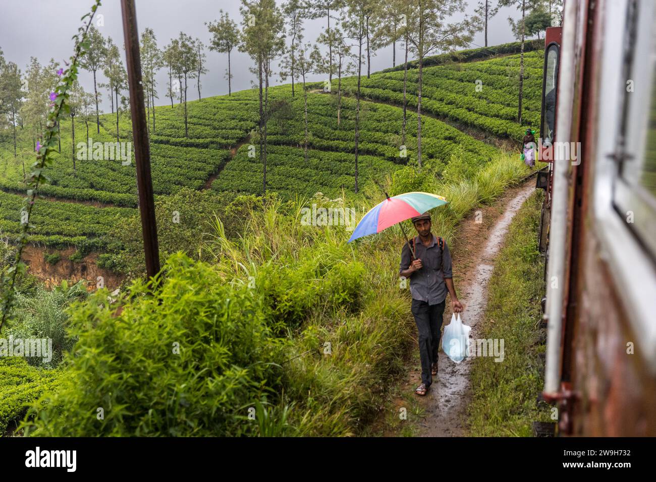 Colombo to kandy train hi-res stock photography and images - Alamy