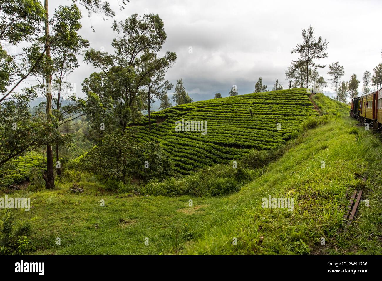Colombo to Kandy train journey Stock Photo - Alamy