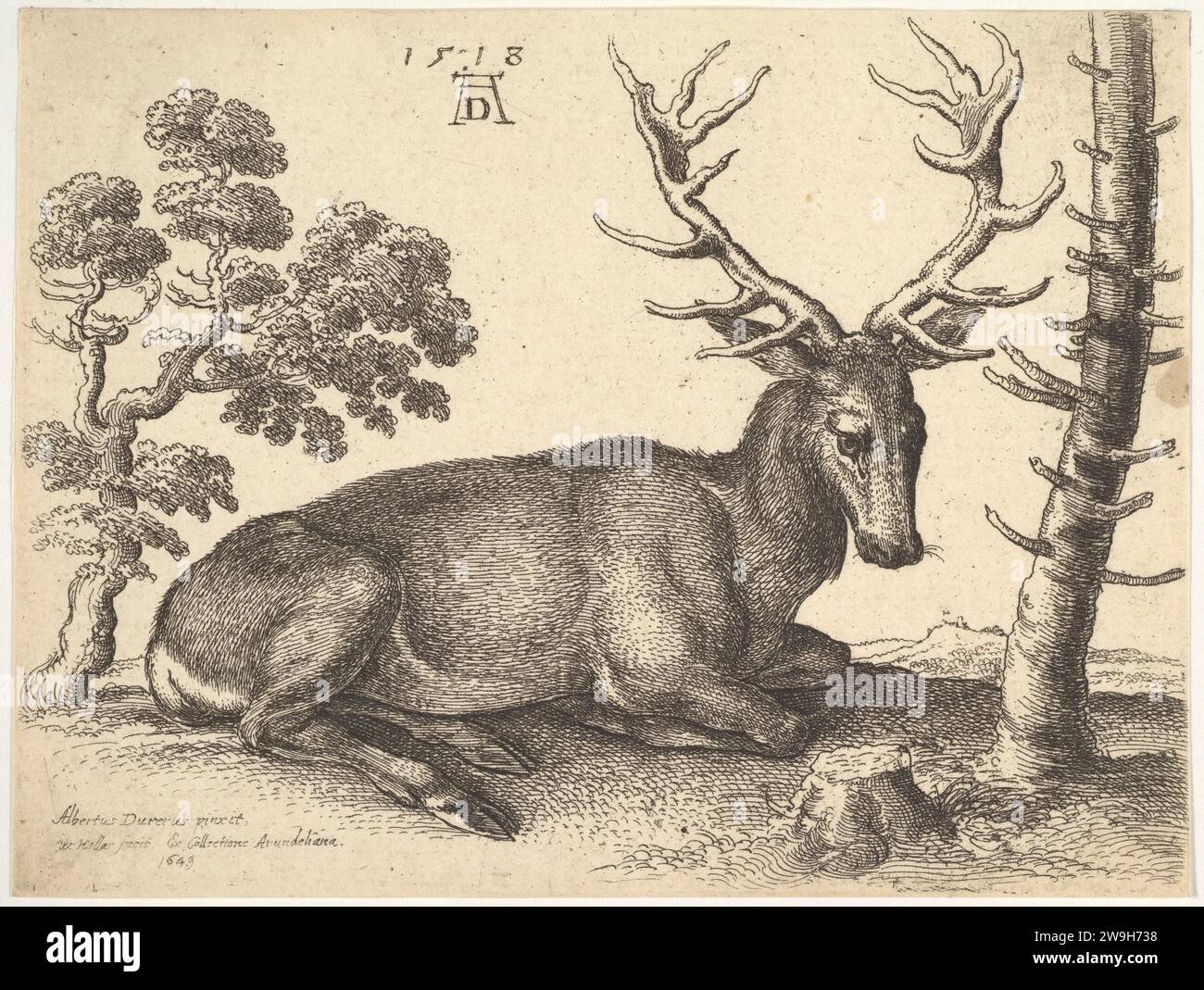 Right albrecht hi-res stock photography and images - Alamy