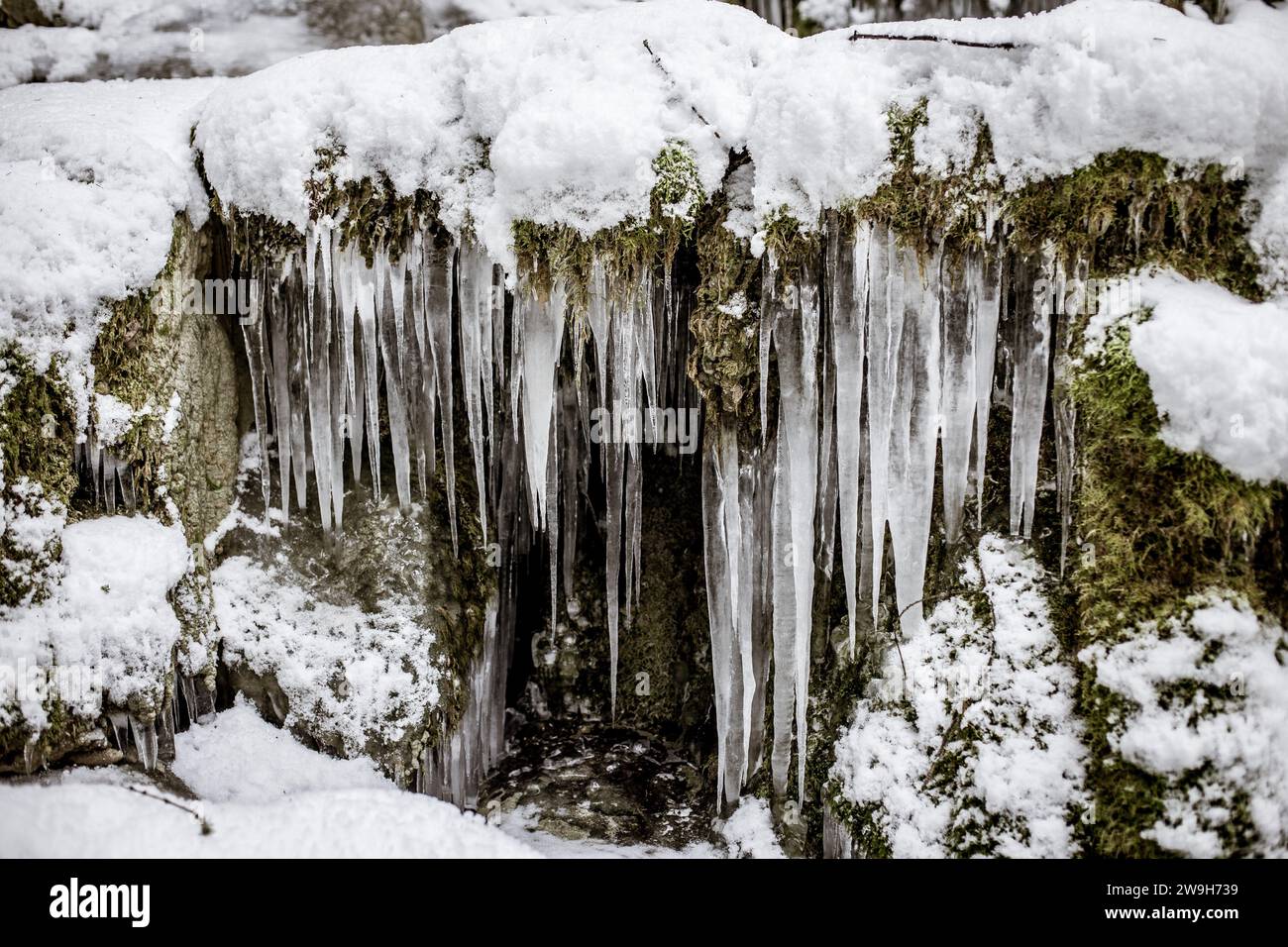 The beauty of untouched wilderness showcased in a panoramic mountain ...