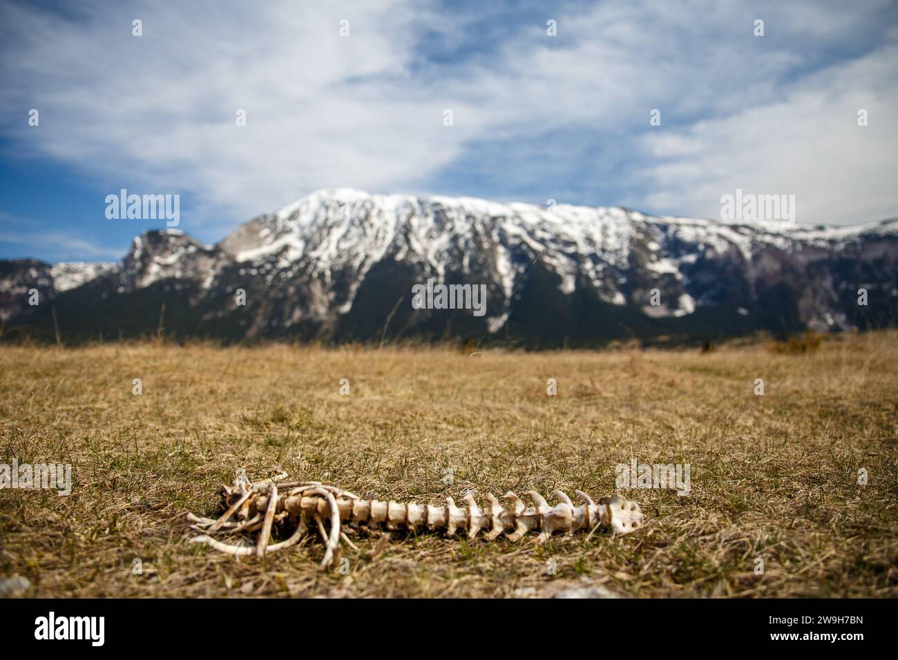 The beauty of untouched wilderness showcased in a panoramic mountain spectacle Stock Photo - Alamy