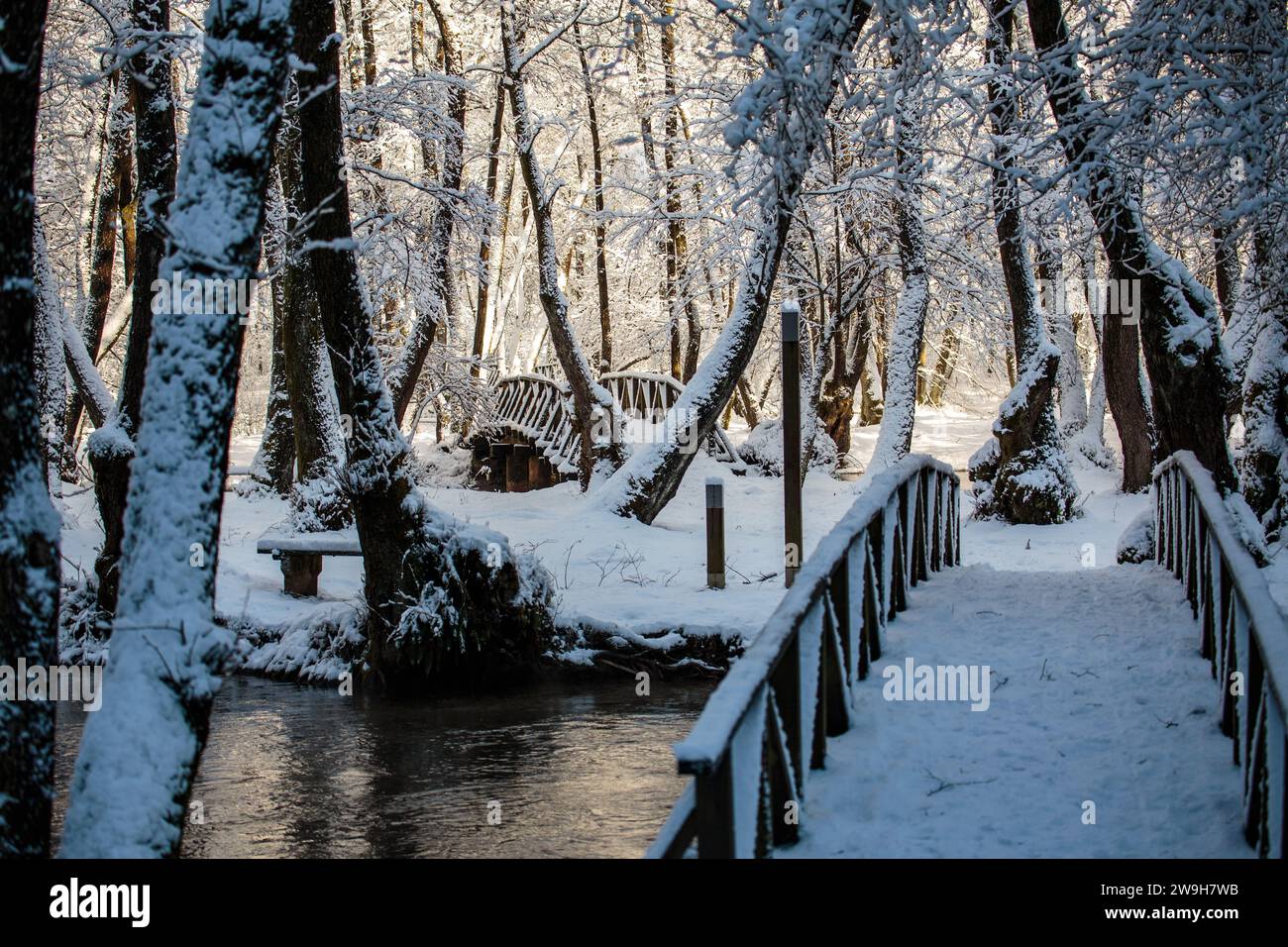 The beauty of untouched wilderness showcased in a panoramic mountain ...
