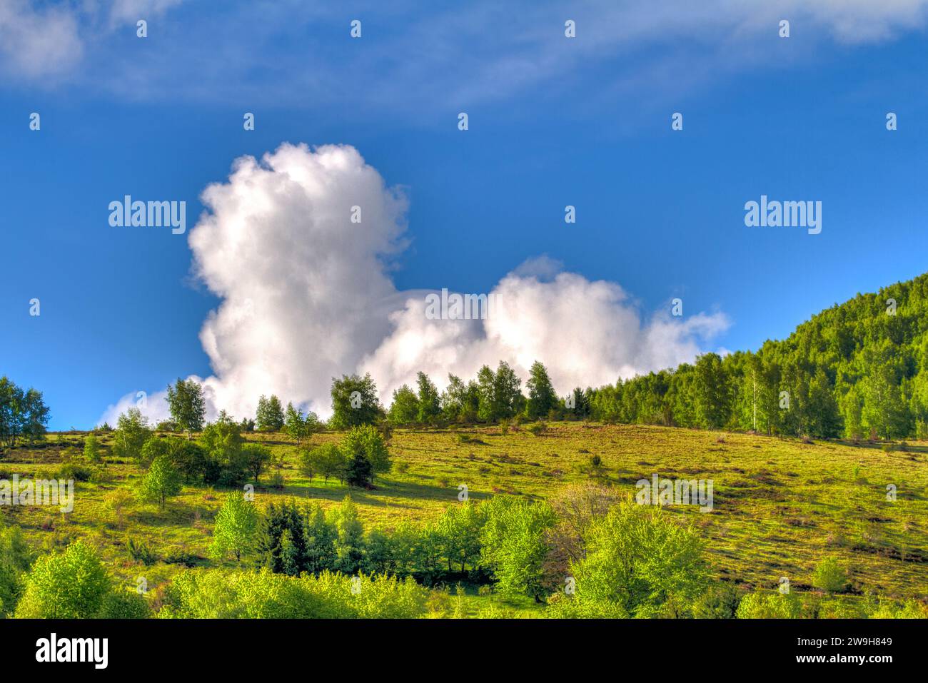 The beauty of untouched wilderness showcased in a panoramic mountain ...