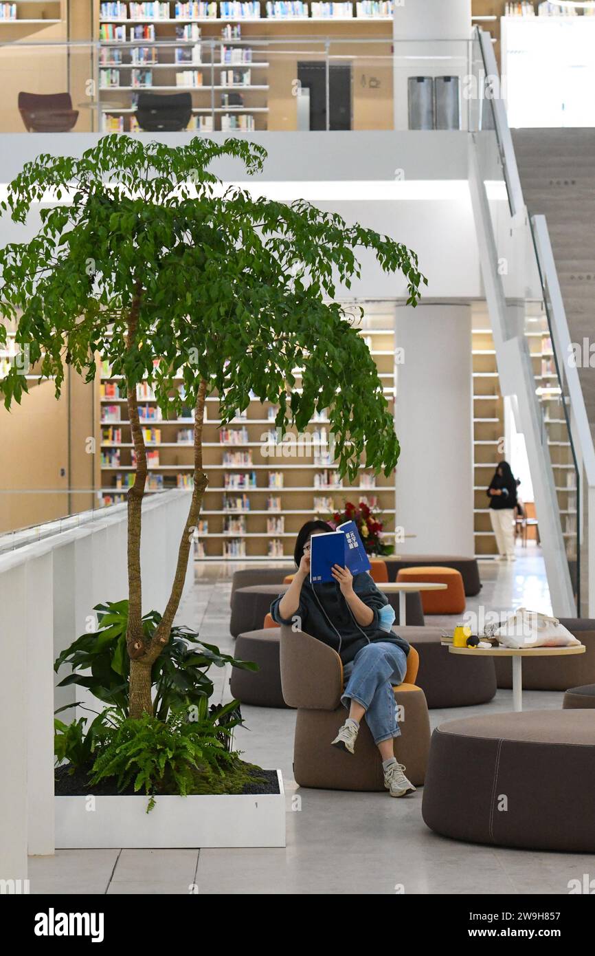 Shenzhen, China's Guangdong Province. 28th Dec, 2023. A woman reads at ...