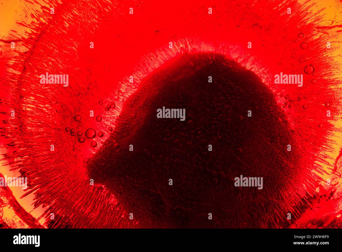 frozen water ice air bubbles in ice colors abstraction beautiful ...