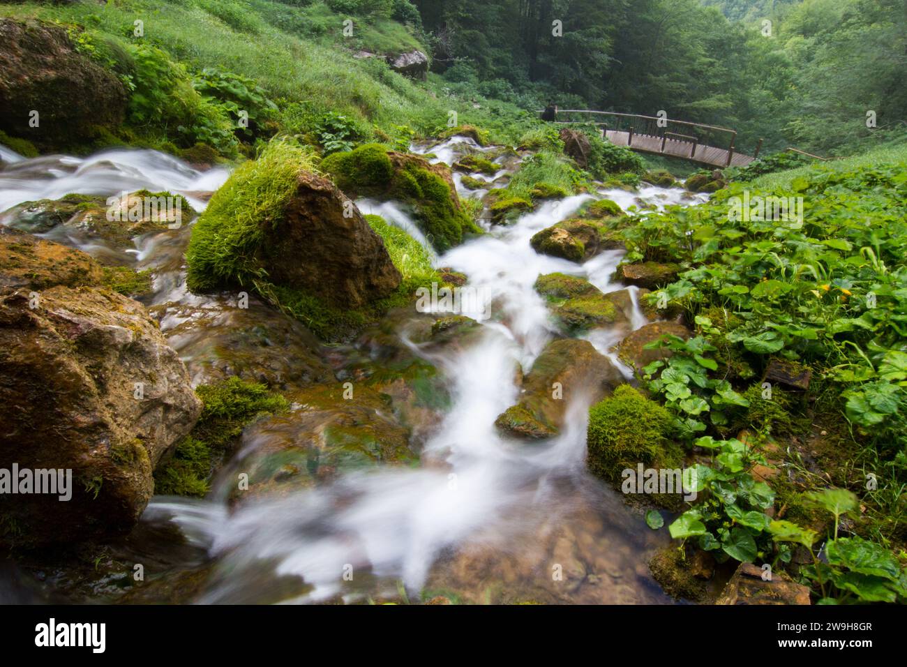 The beauty of untouched wilderness showcased in a panoramic mountain ...