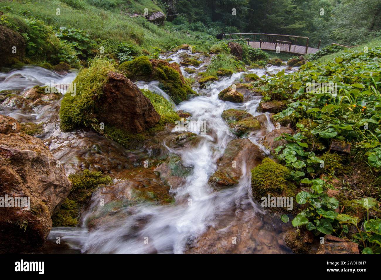The beauty of untouched wilderness showcased in a panoramic mountain ...