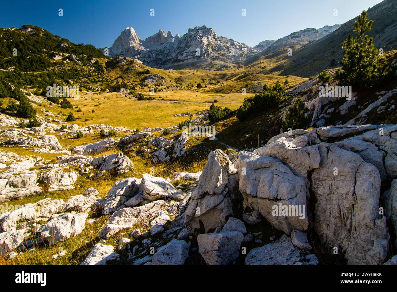 The beauty of untouched wilderness showcased in a panoramic mountain spectacle Stock Photo - Alamy