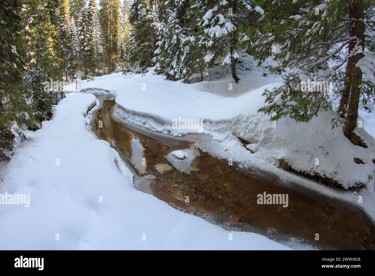 The beauty of untouched wilderness showcased in a panoramic mountain ...