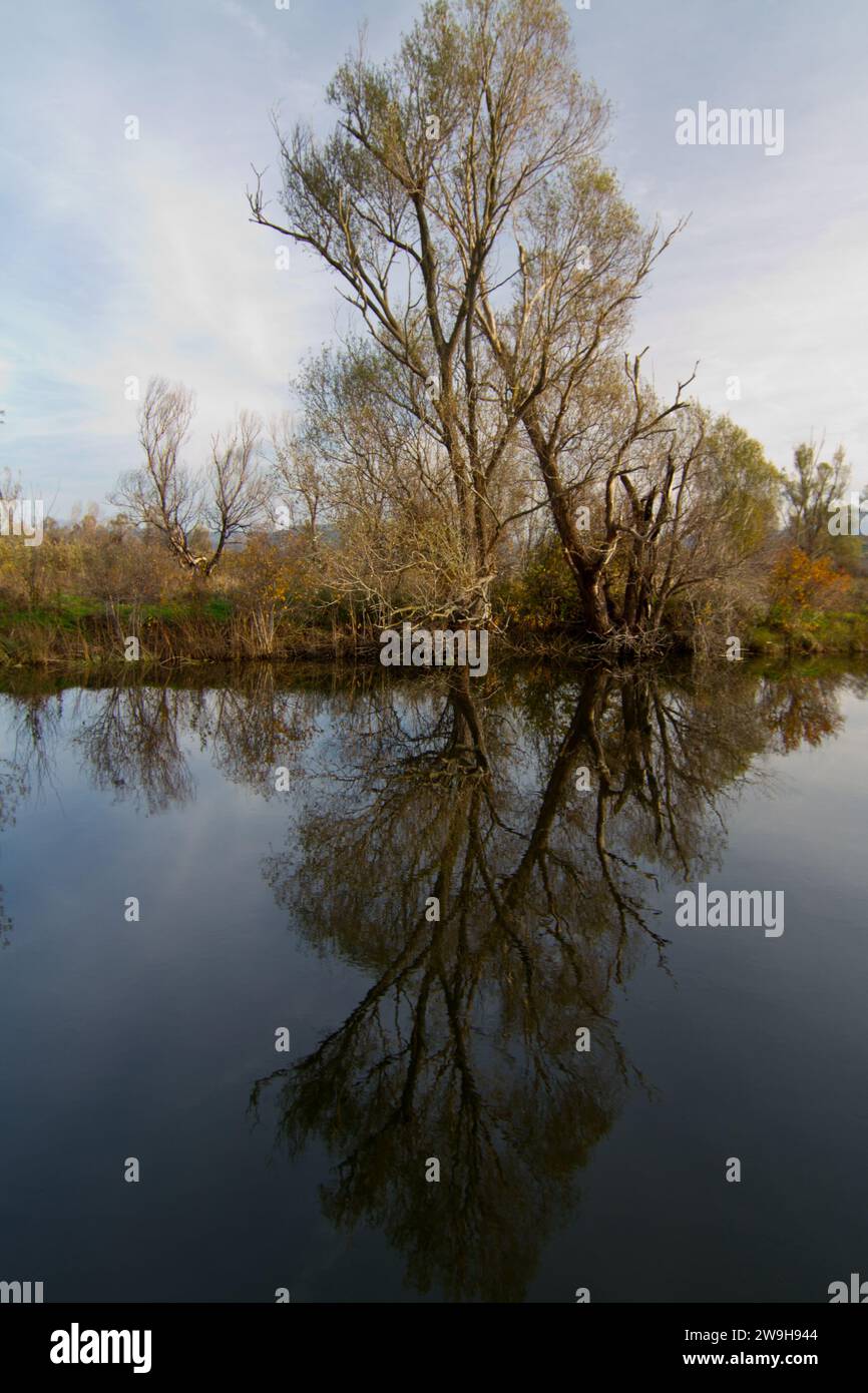 The beauty of untouched wilderness showcased in a panoramic mountain ...