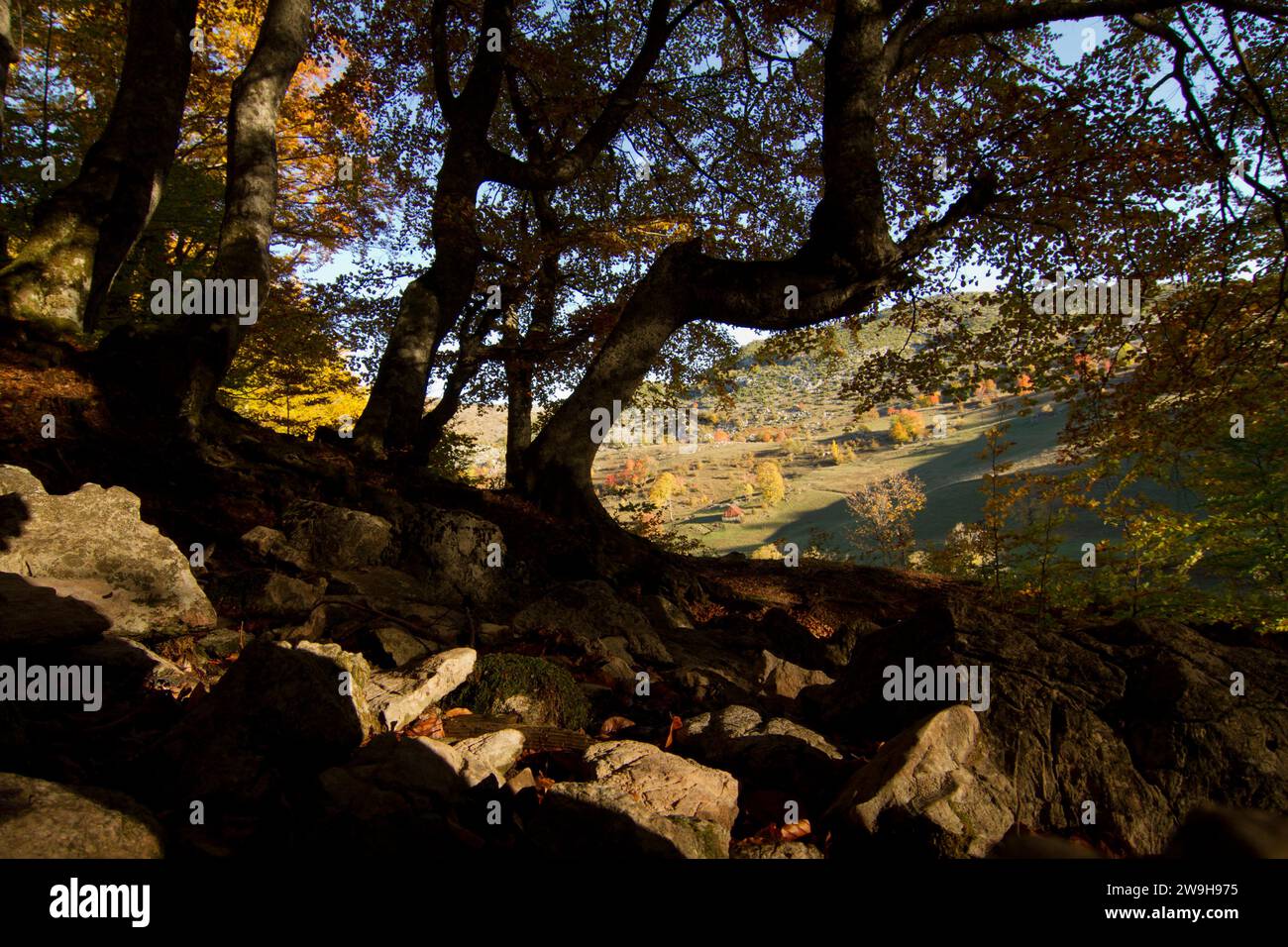 The beauty of untouched wilderness showcased in a panoramic mountain ...