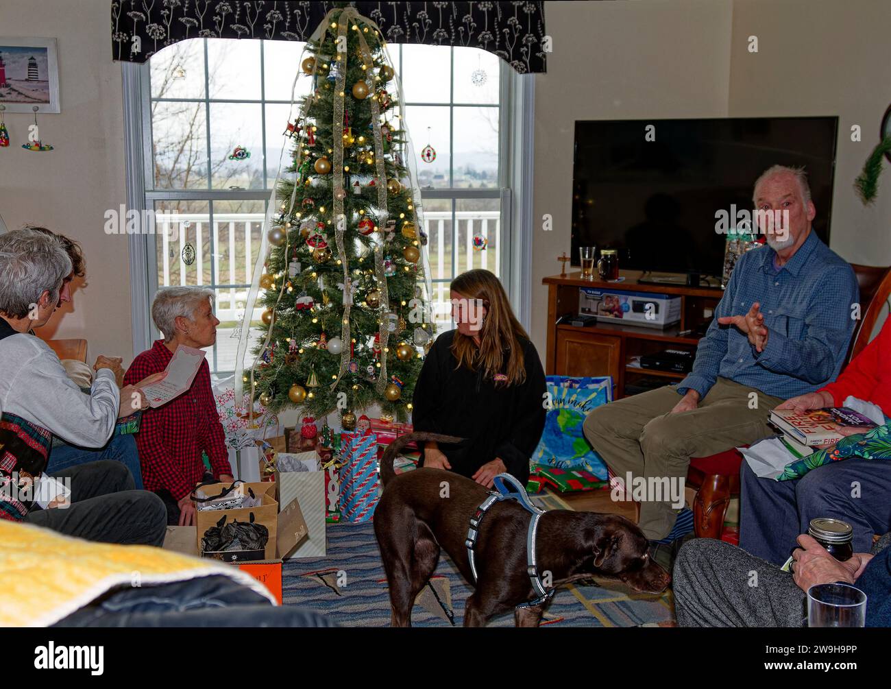 family Christmas, gift opening, activity, fun, interaction, people ...